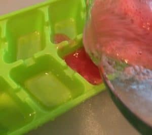 Delish! Fruit Infused Watermelon Ice Cubes - The Savvy Age