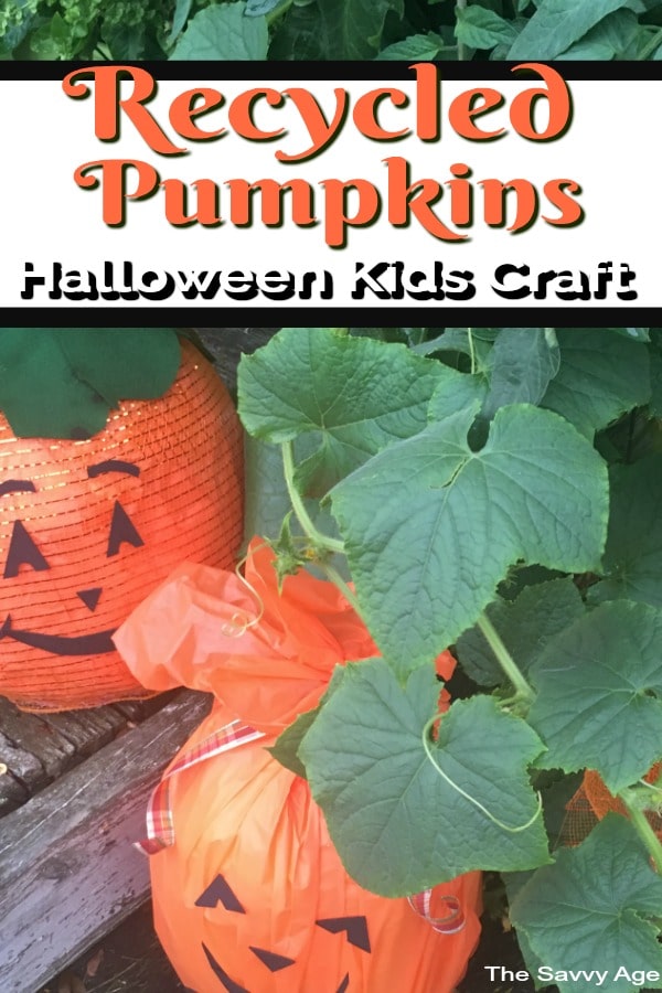 recycled pumpkins pt 3 - The Savvy Age